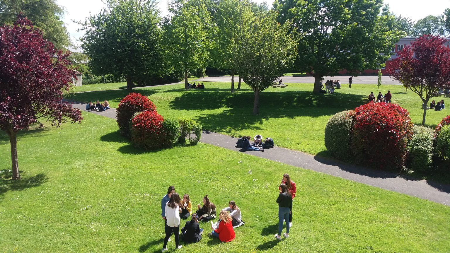 Organigramme - Lycée Saint-Joseph